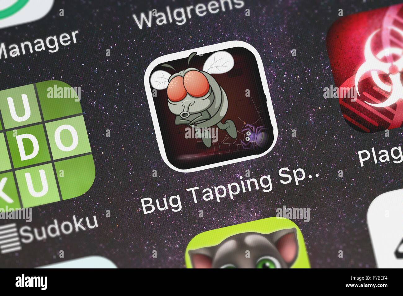 Bug tapping spider escape challenge hi-res stock photography and images - Alamy