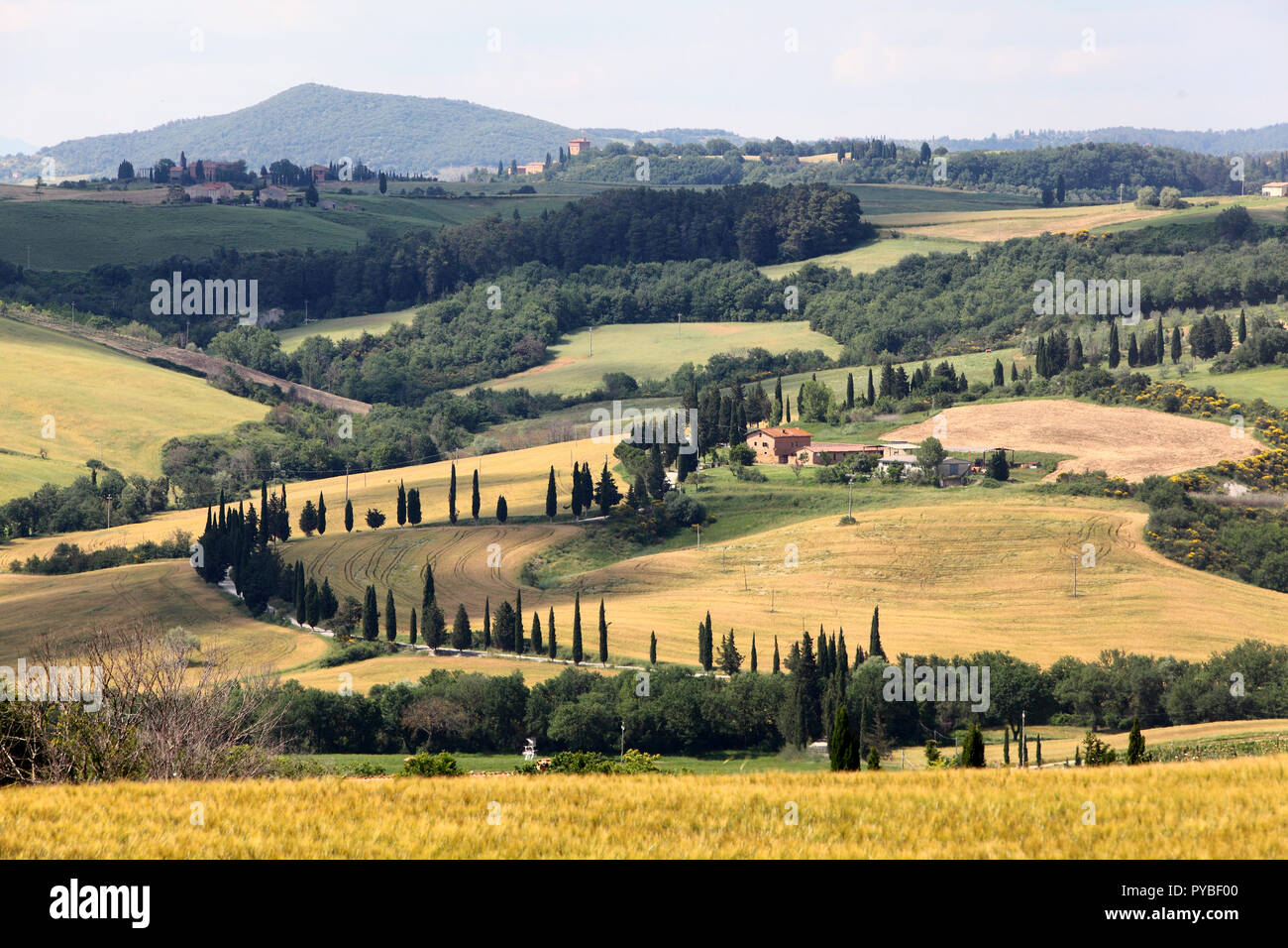 View of Tuscany near the village of Monticchiello. Location is the SP ...