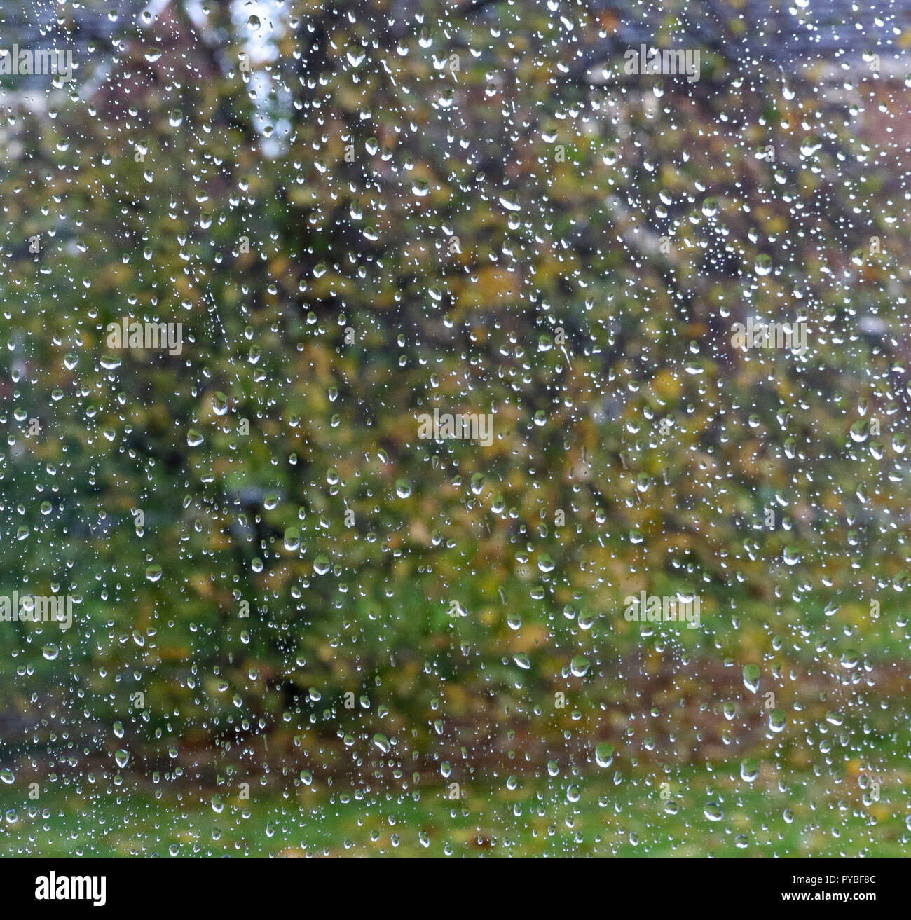 Moira, County Down, Northern Ireland. 26 October 2018. UK weather - a ...