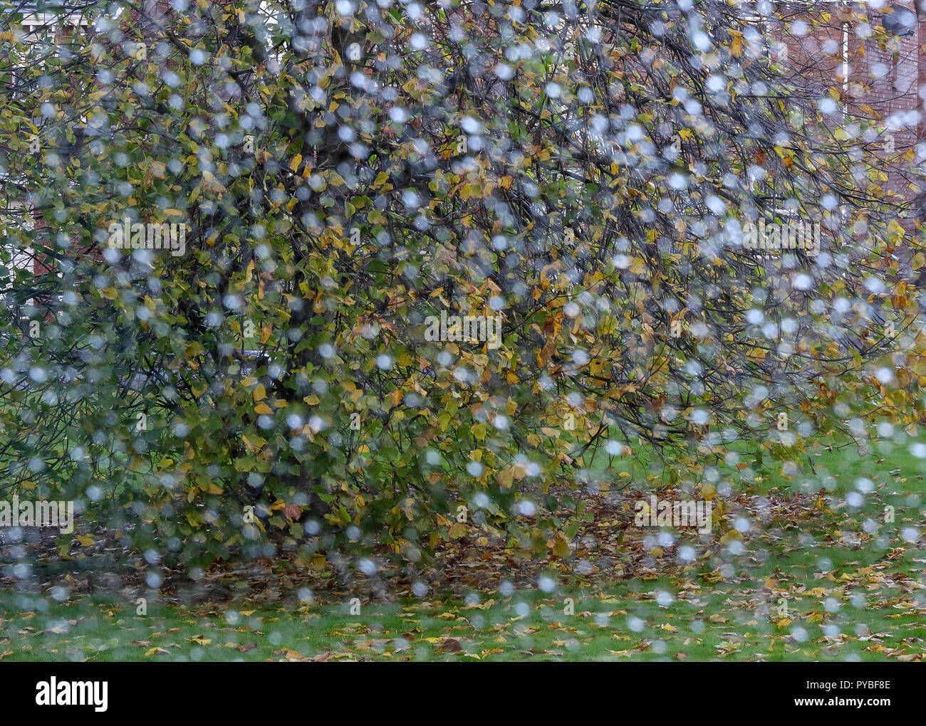 Rain splatterd window hi-res stock photography and images - Alamy