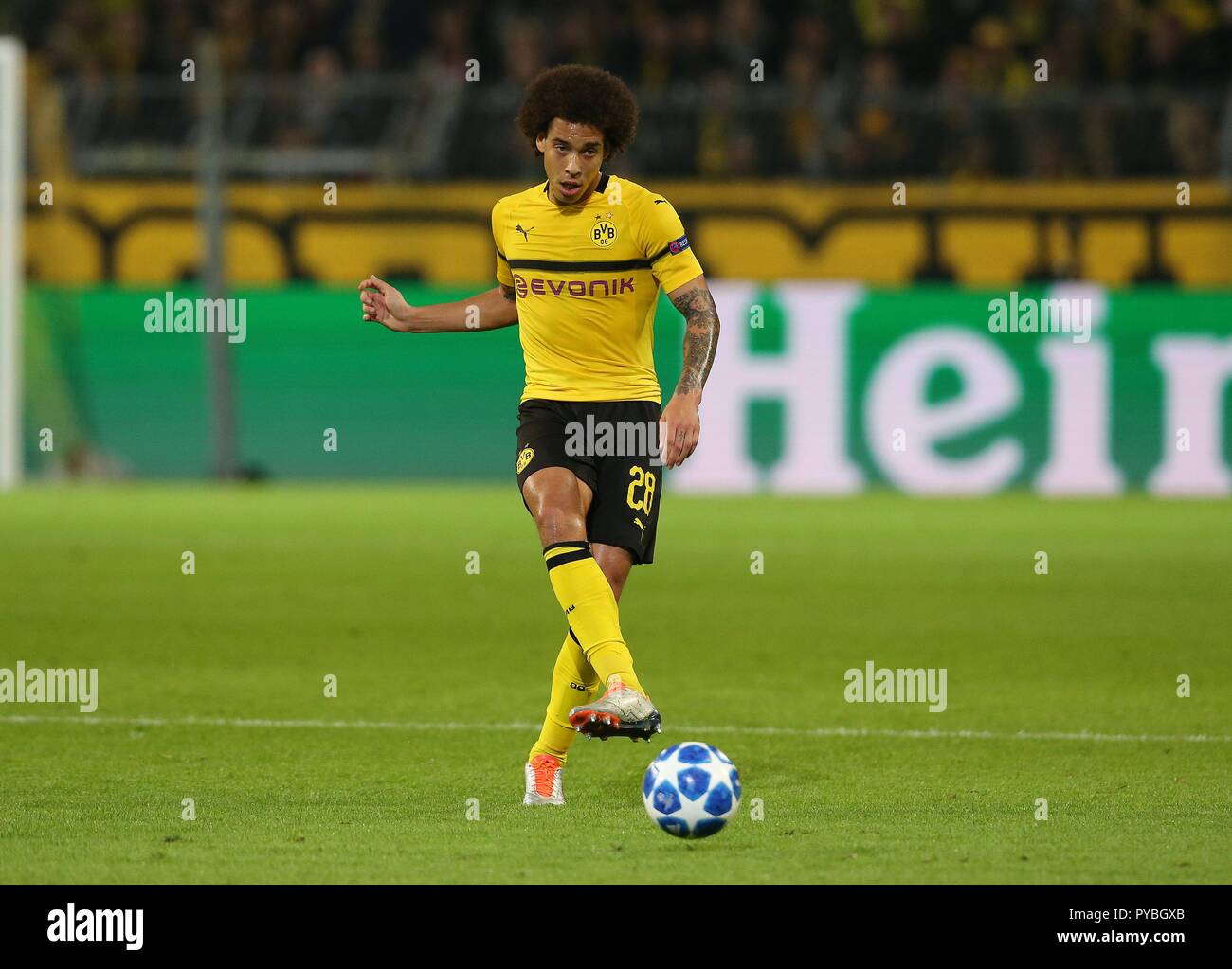 Axel witsel atletico madrid hi-res stock photography and images - Alamy