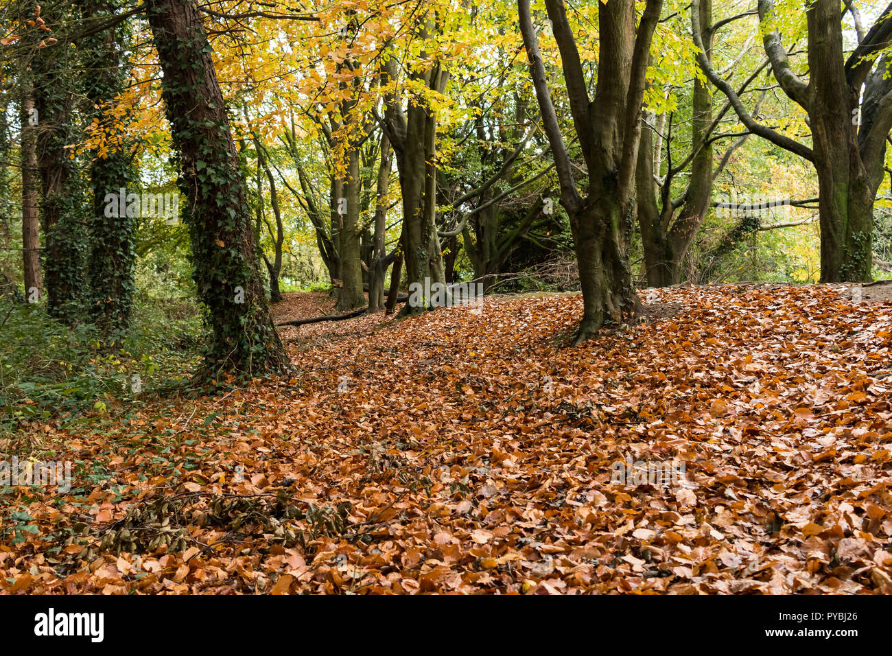 Lagan valley regional park hi-res stock photography and images - Alamy