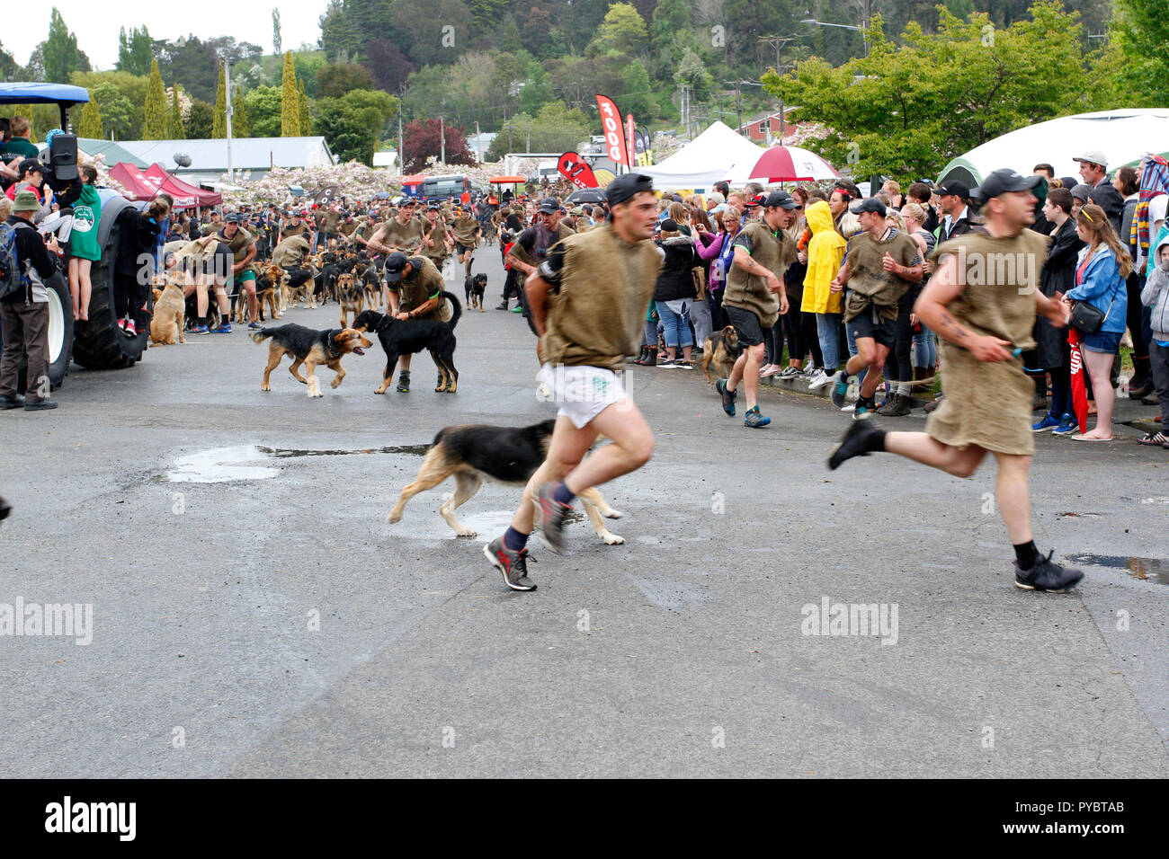 Bulls new zealand bulls town hi-res stock photography and images - Alamy