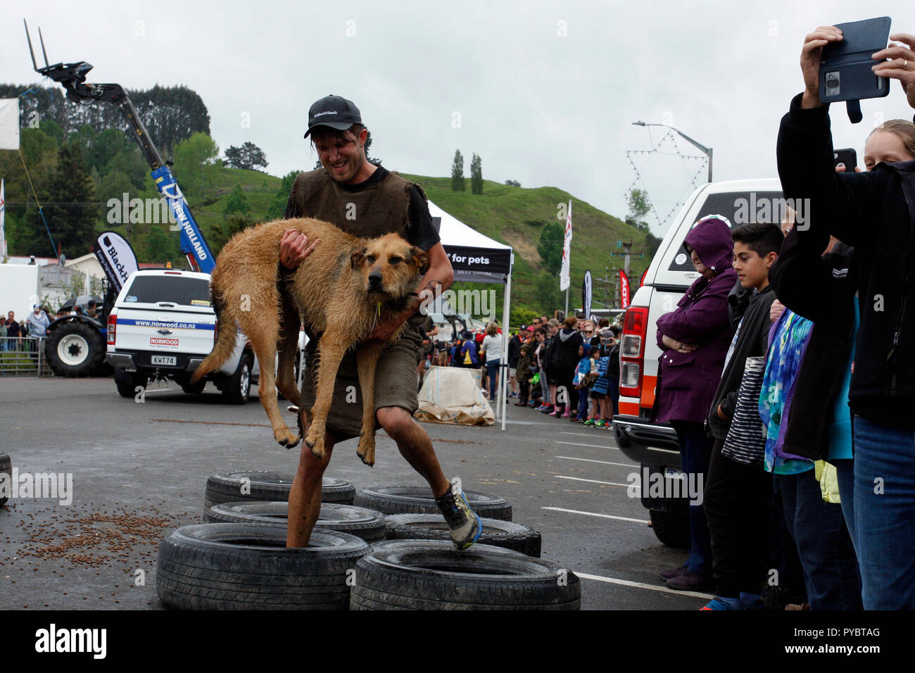 Bulls testicles hi-res stock photography and images - Alamy