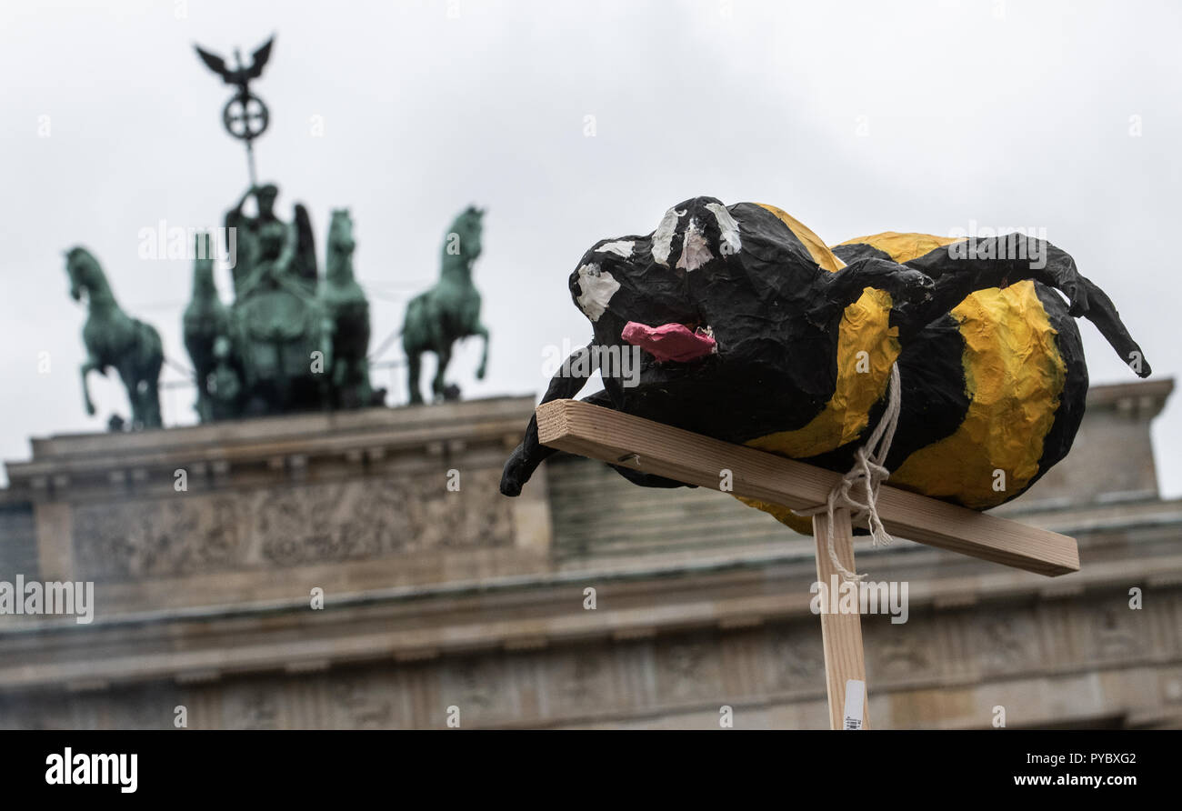 Berlin, Germany. 27th Oct, 2018. A demonstrator holding up on a stick ...