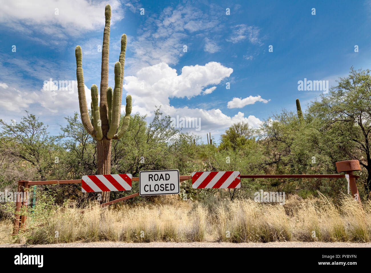 Road closed barrier with sign in Arizona desert with cactus Stock Photo ...