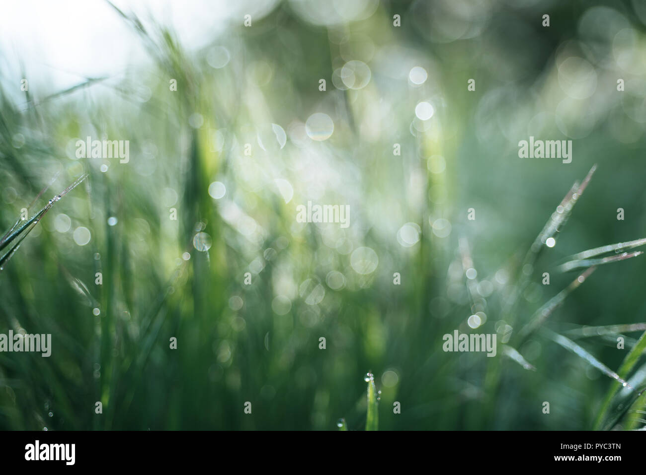 Natural abstract background Stock Photo - Alamy