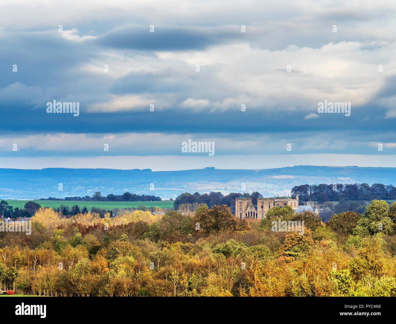 Ripon minster hi-res stock photography and images - Alamy