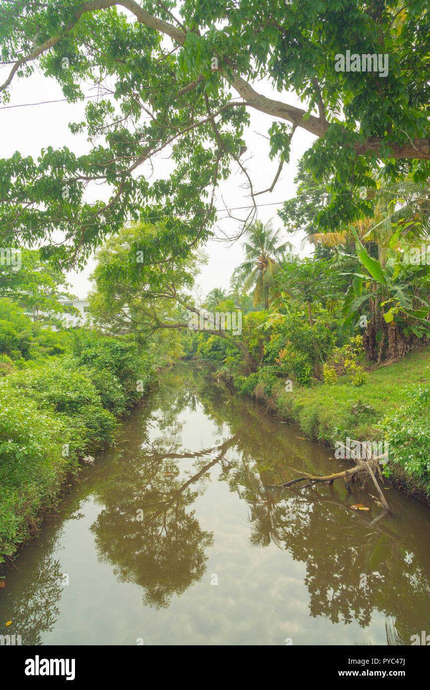 Water channel surrounded by palm trees Stock Photo - Alamy