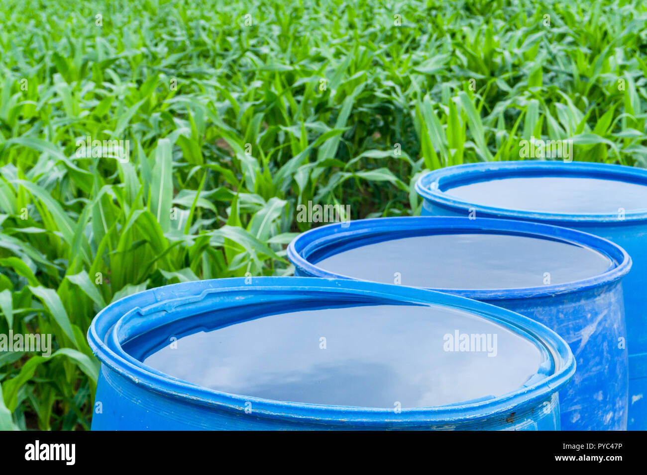 close up agricultural chemicals used in corn care Stock Photo - Alamy