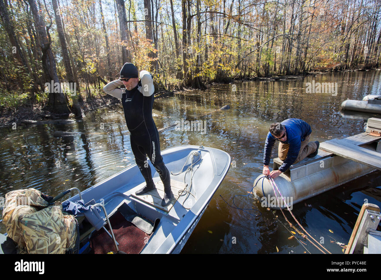 Hunting for cypress river logs in the swamps of South Carolina Stock ...
