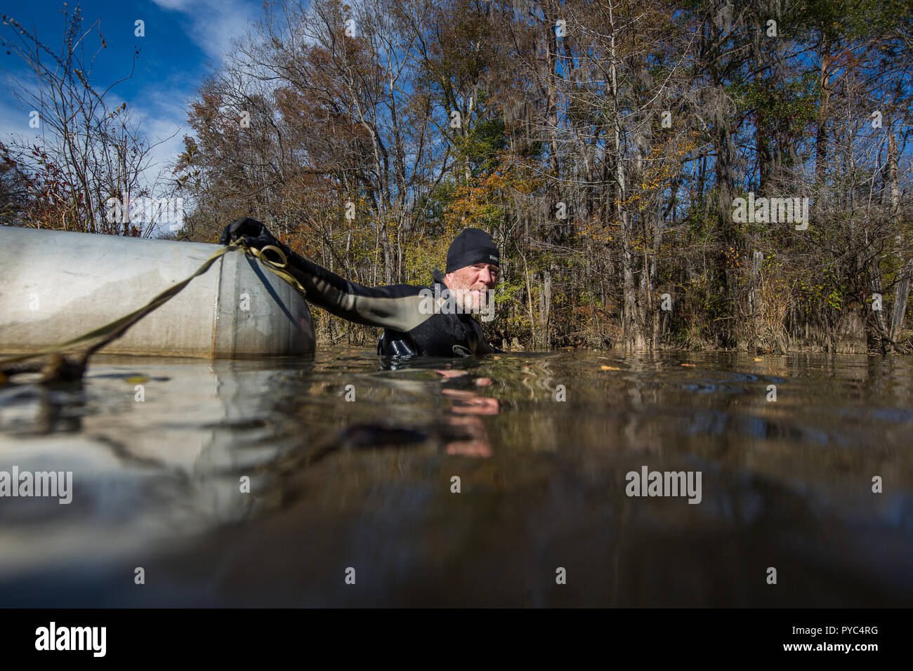 Hunting for cypress river logs in the swamps of South Carolina Stock ...