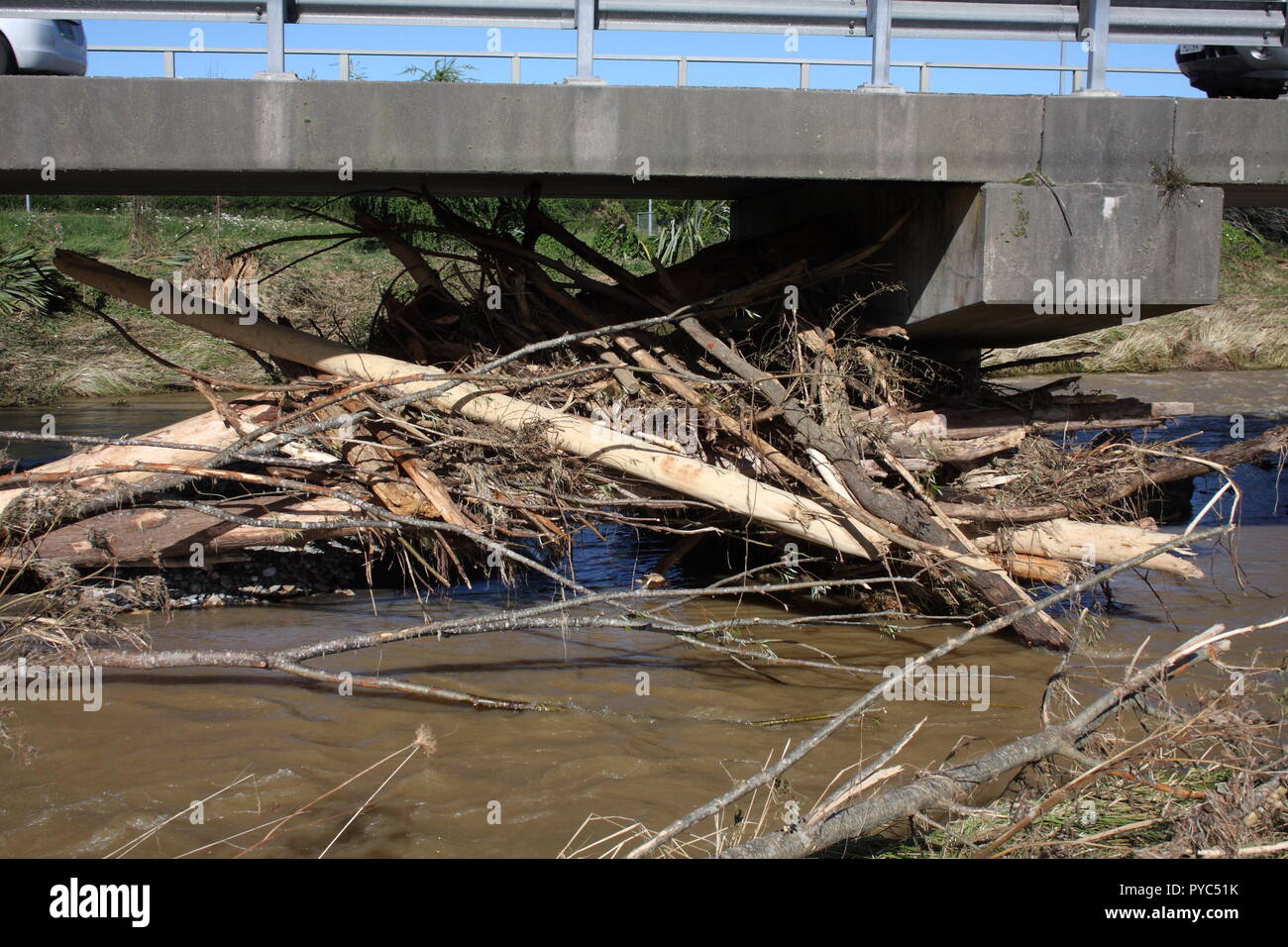 Consequences after a storm hi-res stock photography and images - Alamy