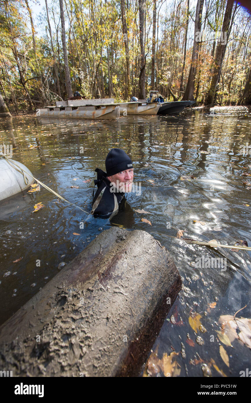 Hunting for cypress river logs in the swamps of South Carolina Stock ...