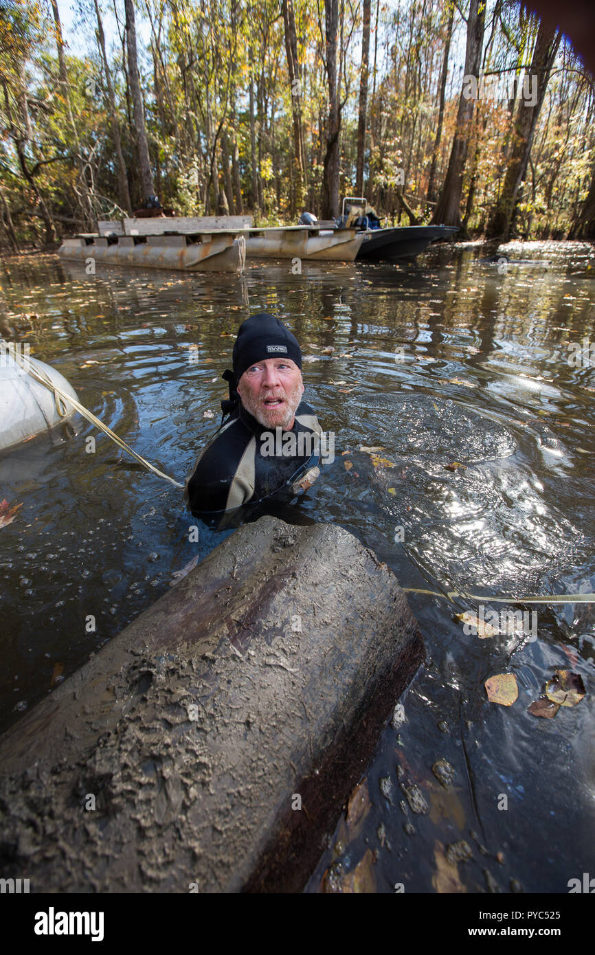 Hunting for cypress river logs in the swamps of South Carolina Stock ...