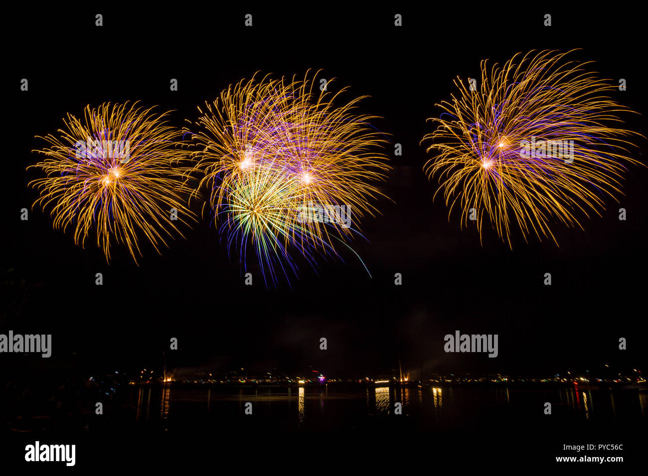 Colorful fireworks rocket explosion in different color in the night ...