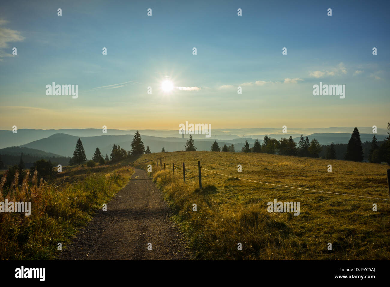 Path along green pastures with endless view over misty forest landscape ...