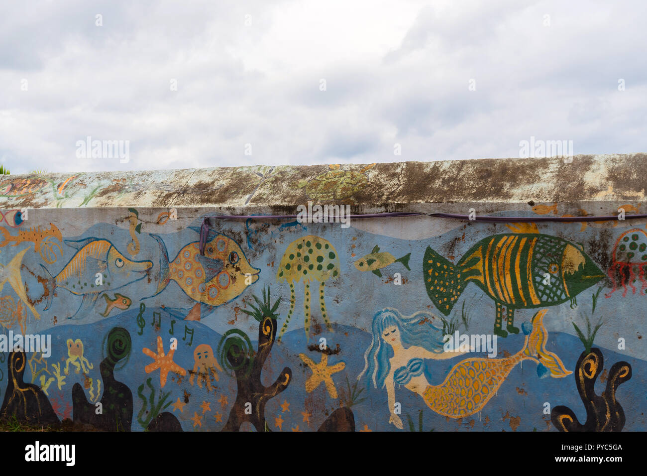 Abstract fish graffiti mural wall art hi-res stock photography and ...