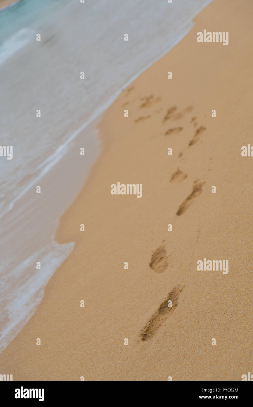 Footprints on the sand in the coastal strip Stock Photo - Alamy
