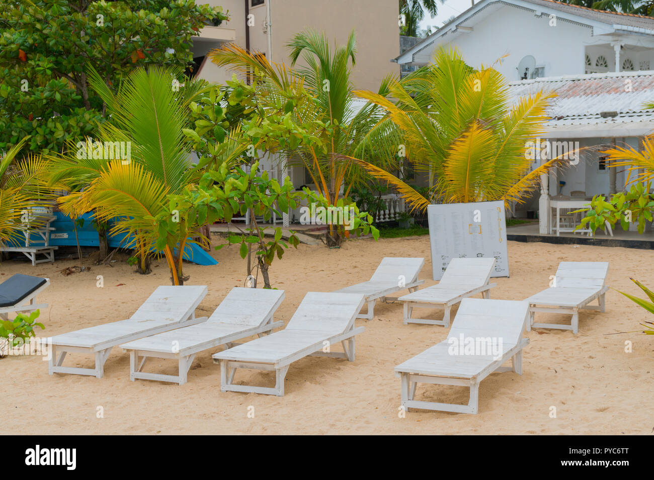 Wooden sunbeds on the beach Stock Photo - Alamy