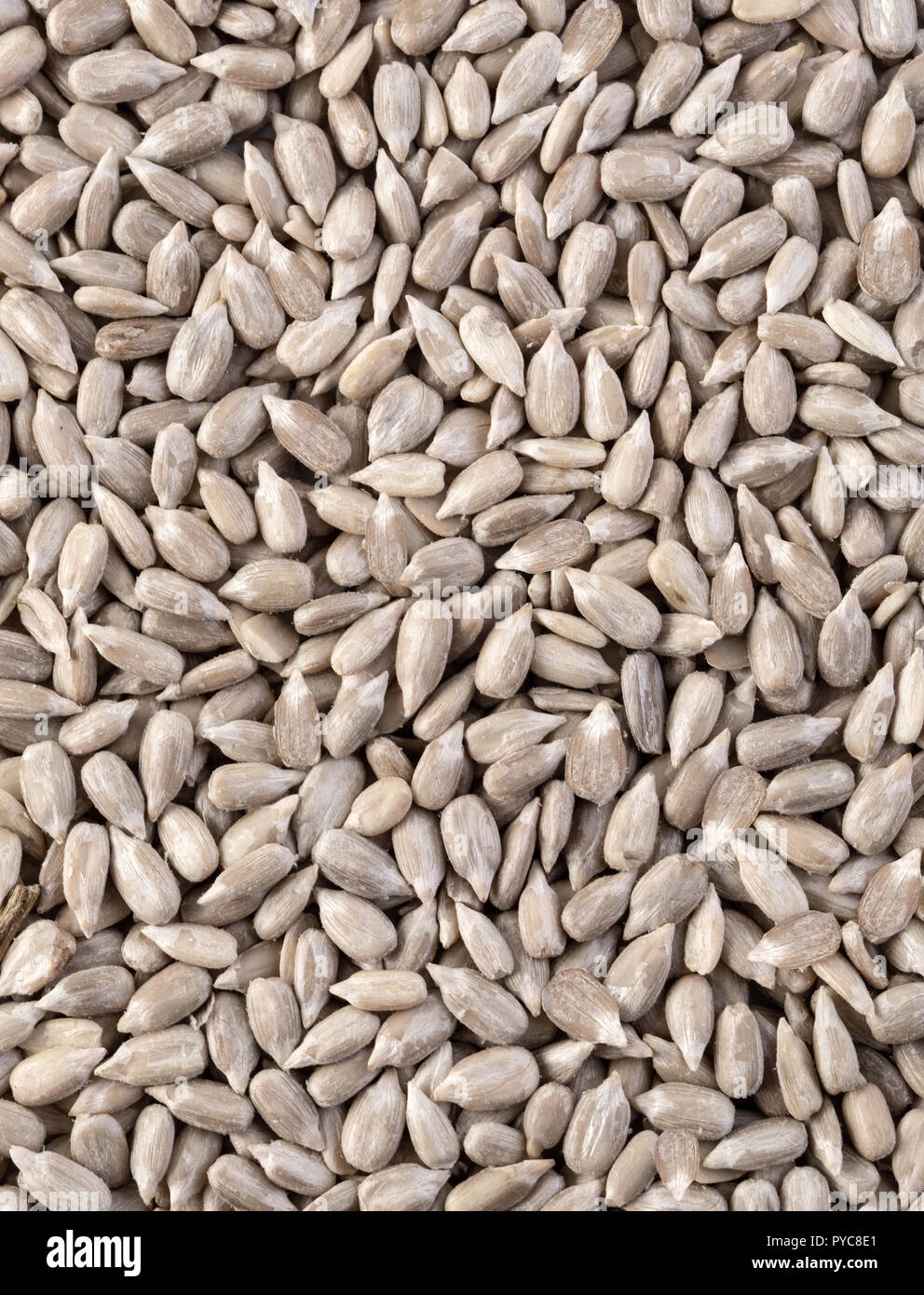 Sunflower Seeds Texture As Background.For your design Stock Photo - Alamy