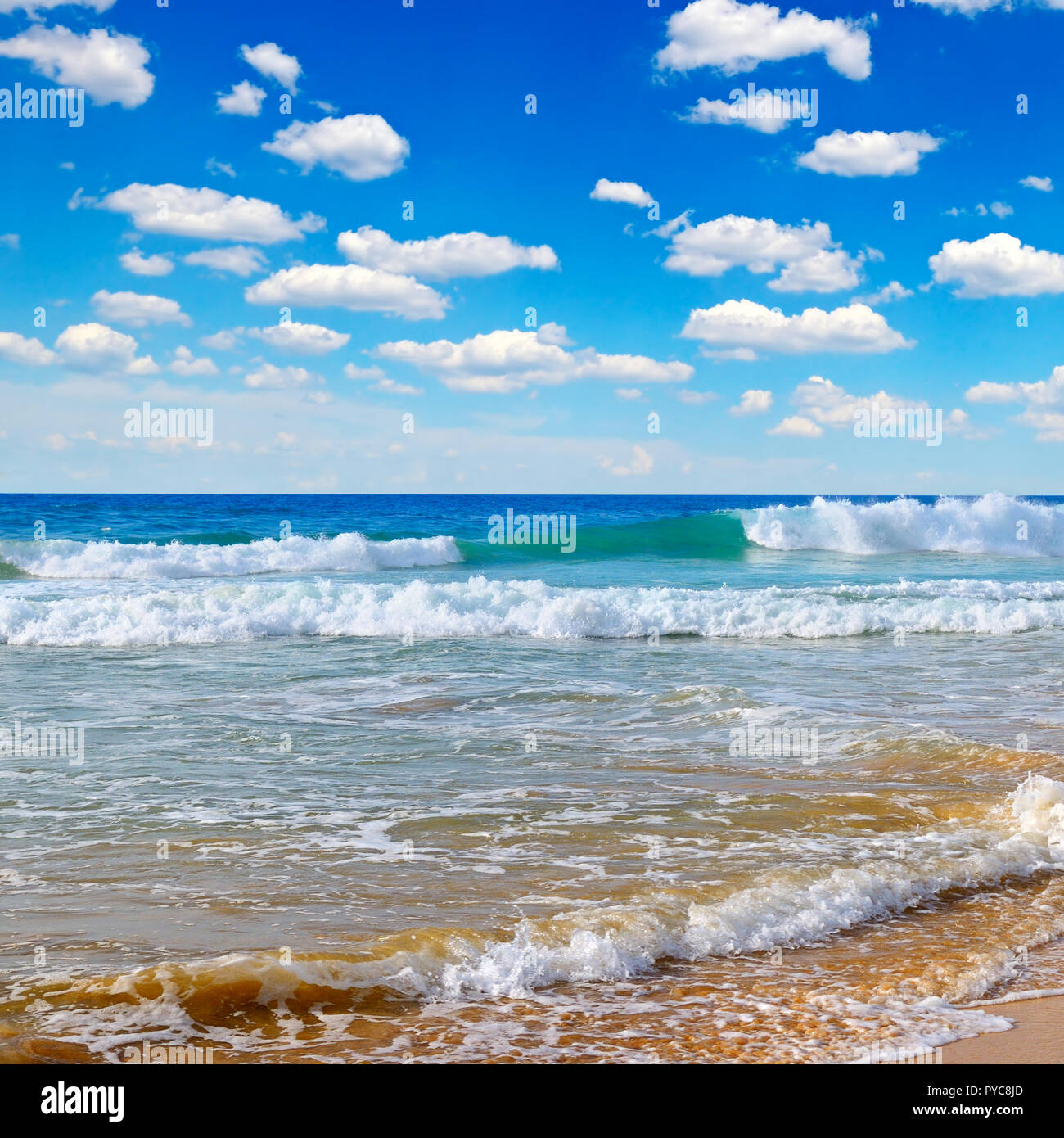 ocean, picturesque beach and blue sky Stock Photo - Alamy