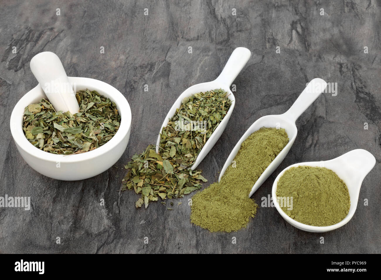 Moringa oliefera herb leaf and powder in a mortar with pestle & scoops ...
