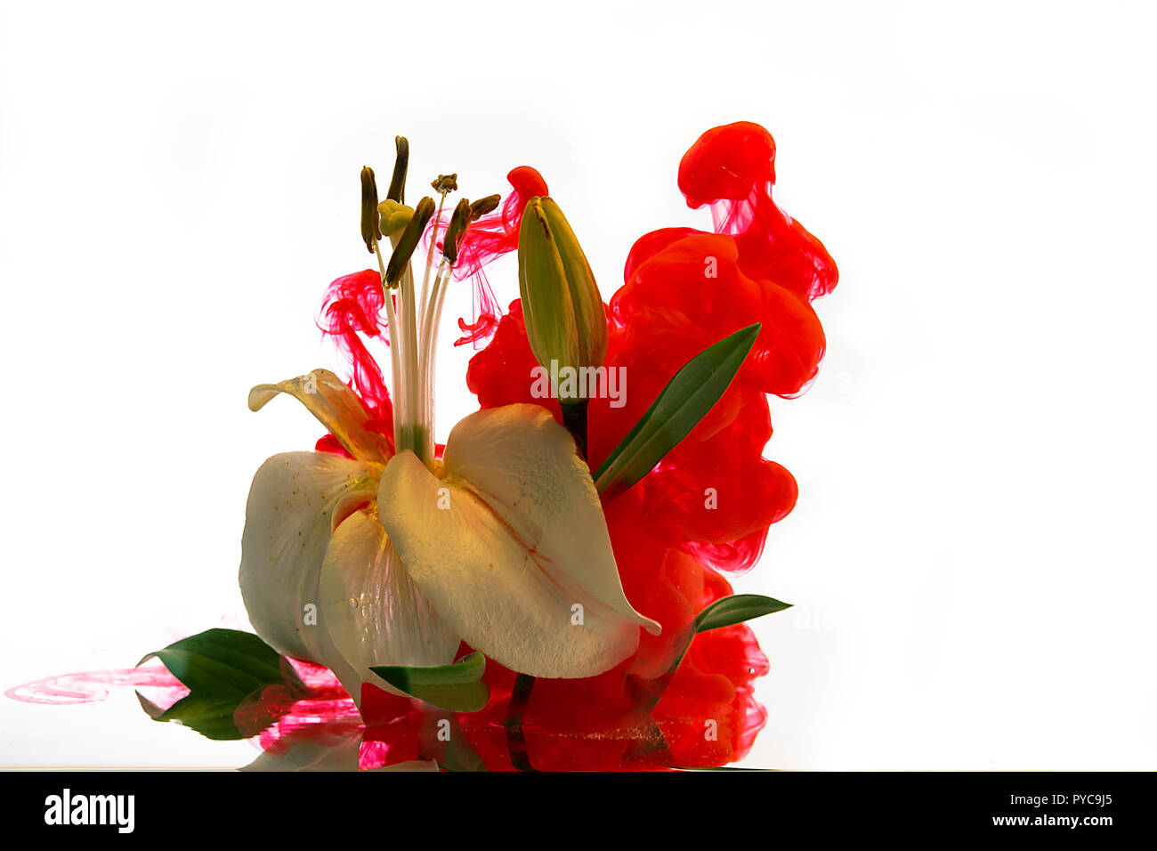 Love tank hi-res stock photography and images - Alamy