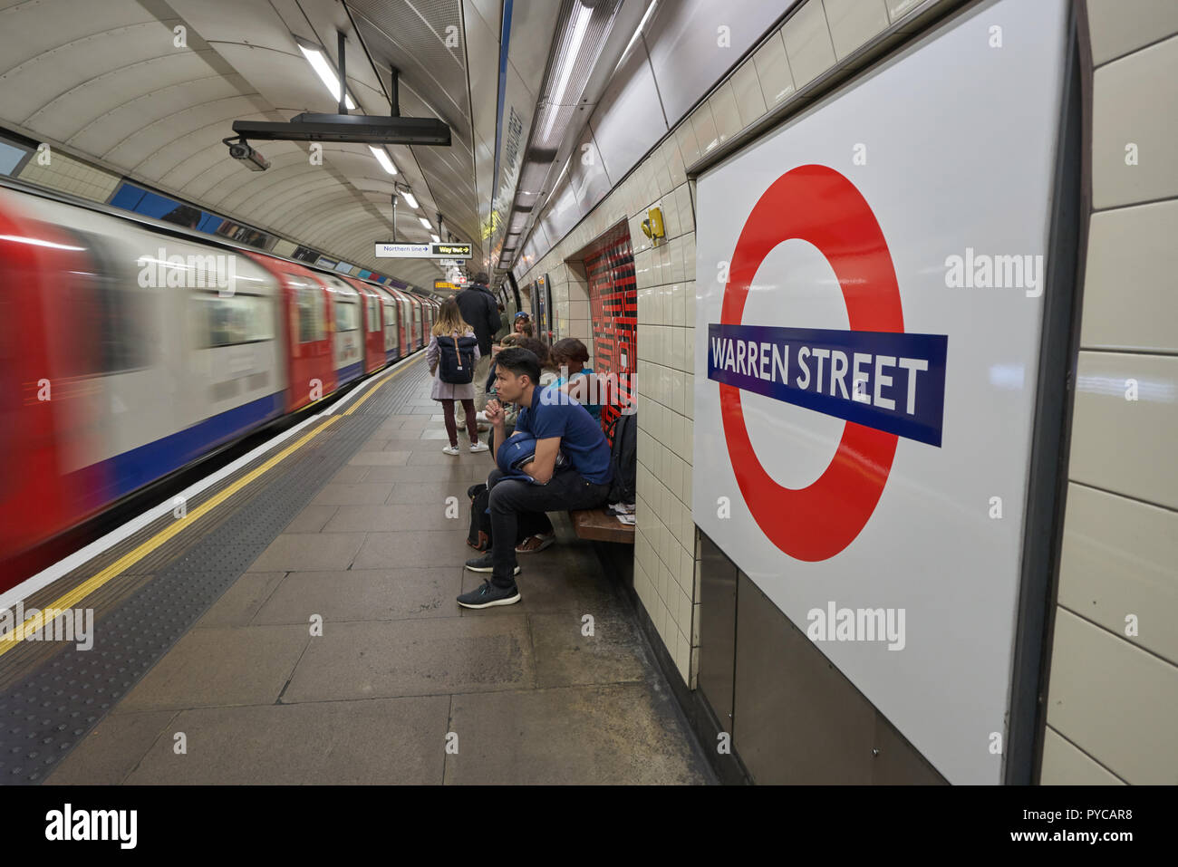 Underground warren hi-res stock photography and images - Alamy