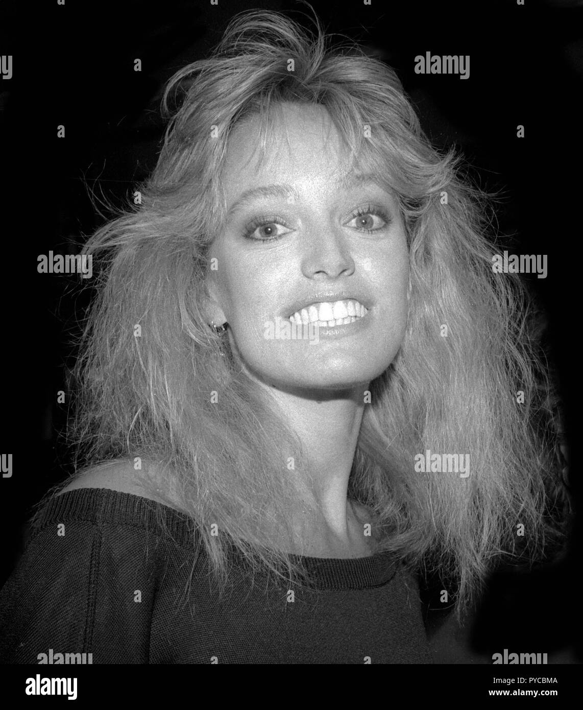 Susan Anton 1985 Photo By Adam Scull/PHOTOlink/MediaPunch Stock Photo ...