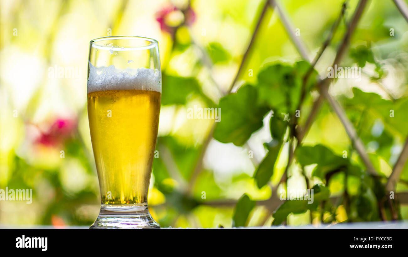 Glass of cold beer on the window and nature background. Beer in the ...