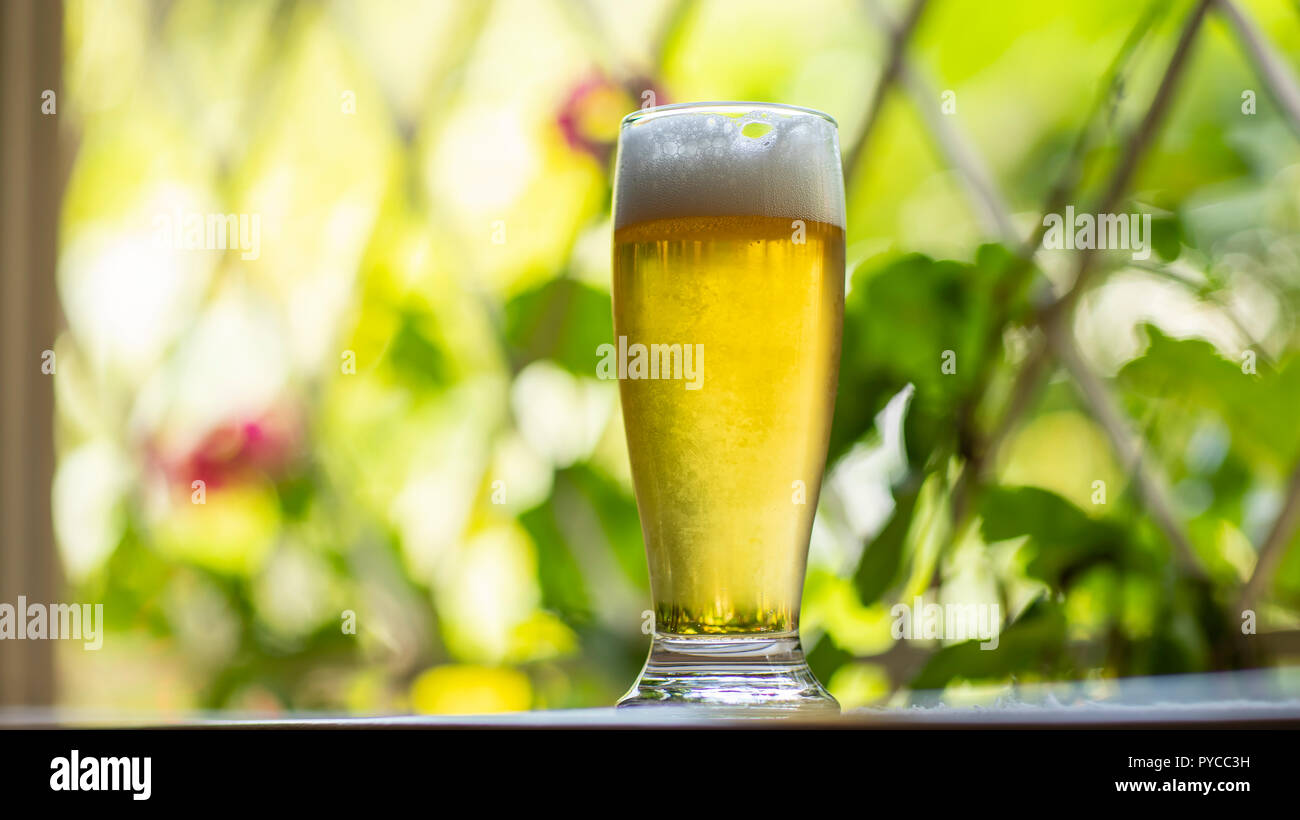 Glass of cold beer on the window and nature background. Beer in the ...