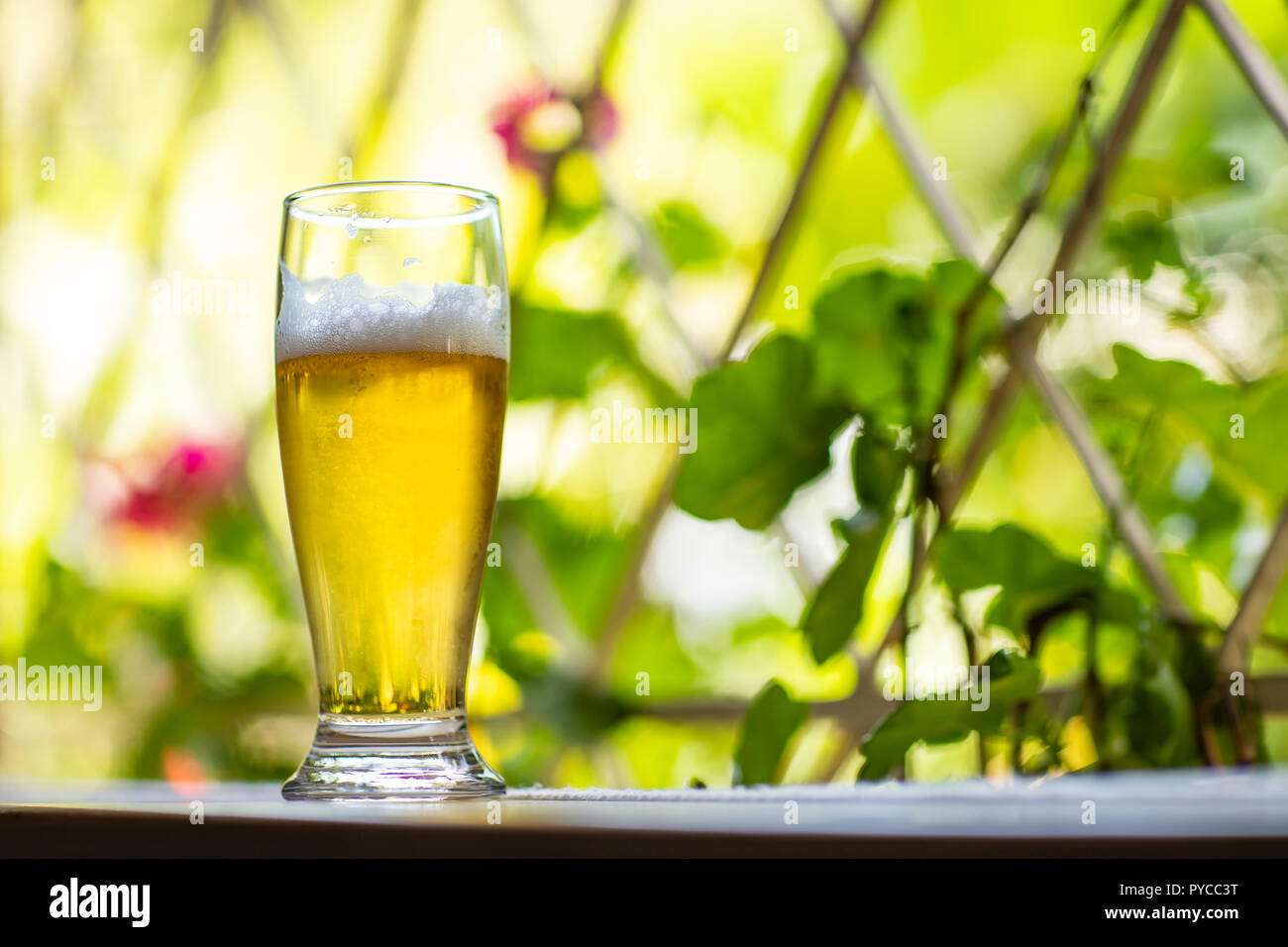 Glass of cold beer on the window and nature background. Beer in the ...