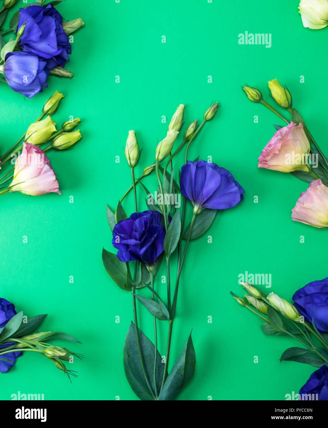 Eustoma green hi-res stock photography and images - Alamy