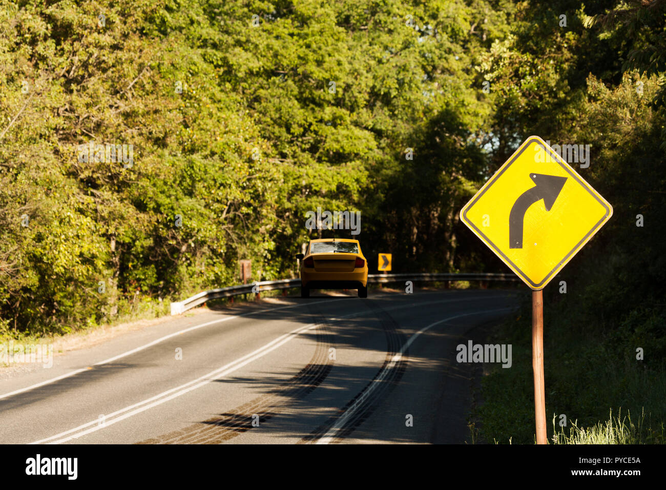 Traffic Accident Skid Marks