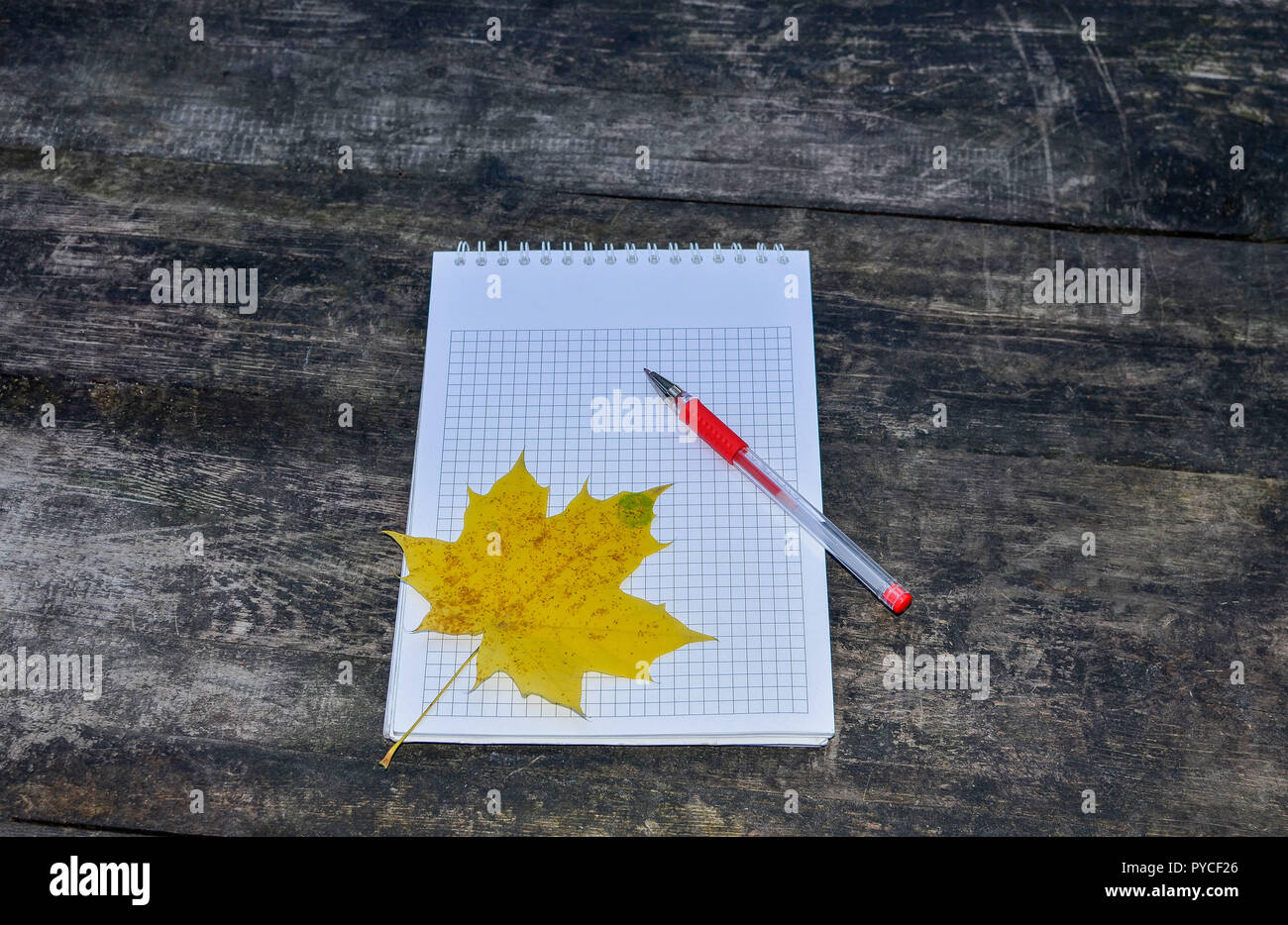 Autumn banner with yellow maple leaf on the mail envelope on a wooden ...