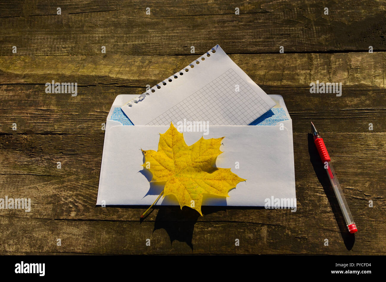 Autumn banner with yellow maple leaf on the mail envelope on a wooden ...