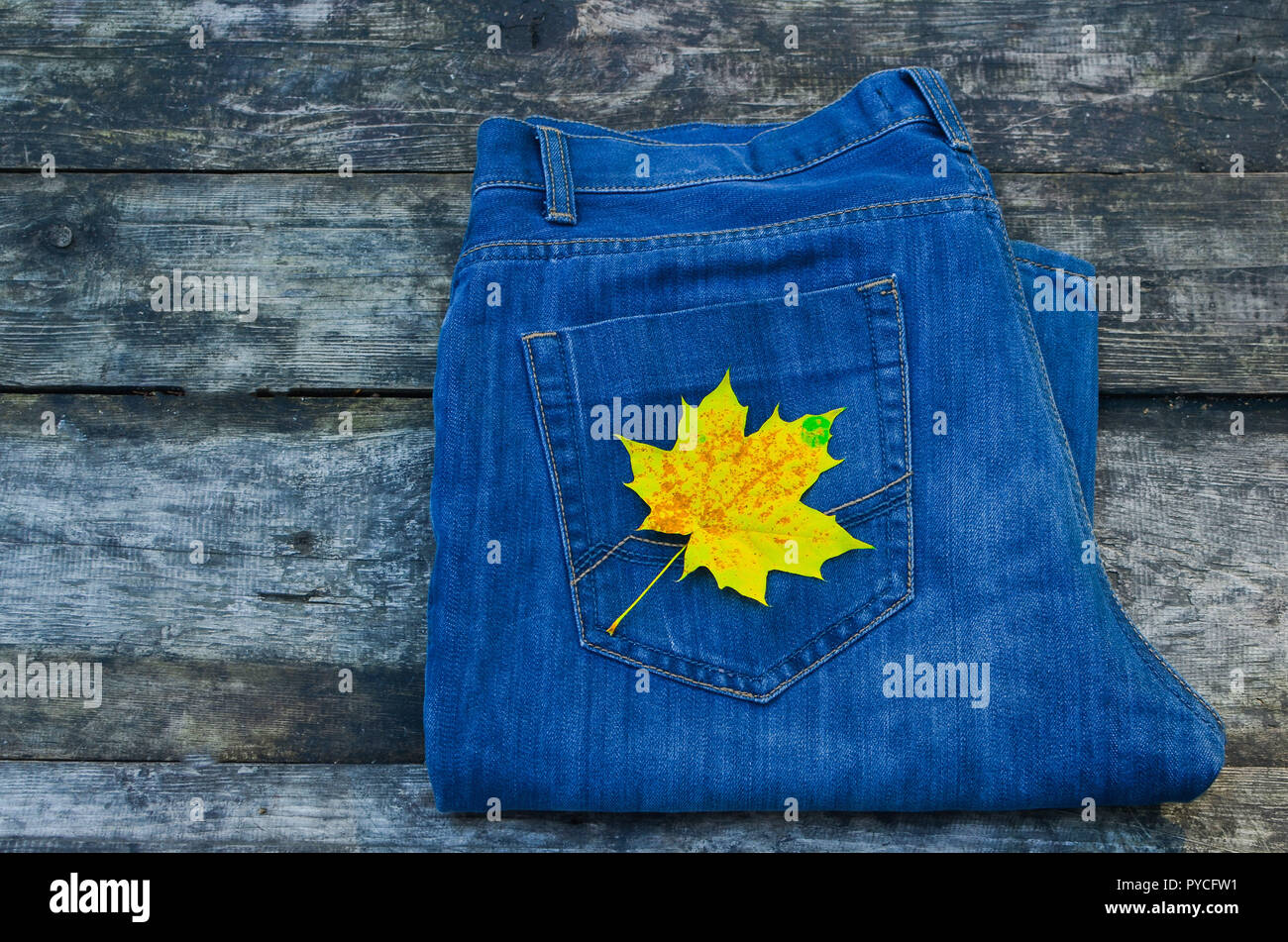 Yellow autumn leaf on blue jeans pockets background Stock Photo - Alamy