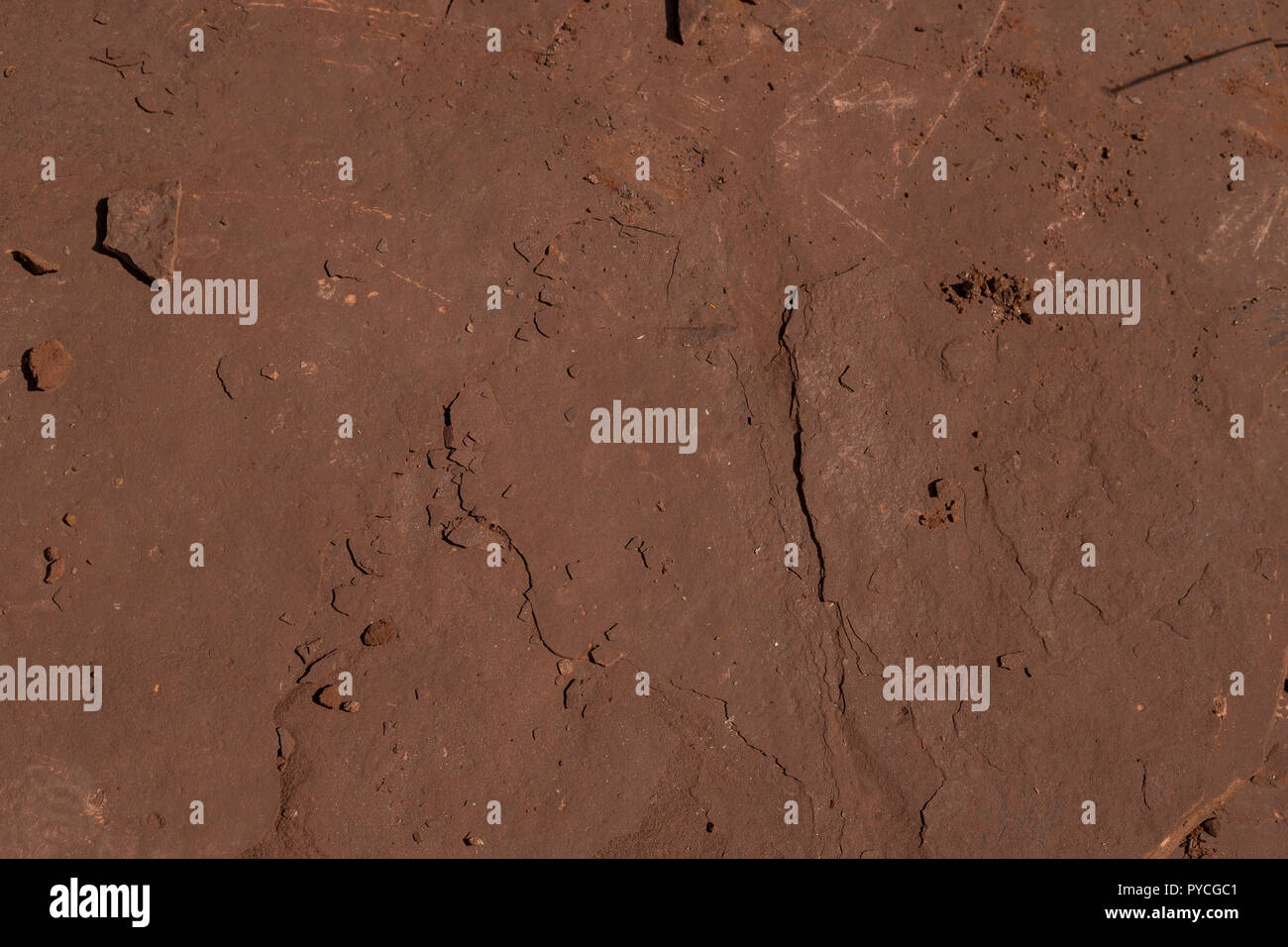 detail of red sandstone inside of old quarry in holly cross mountains ...
