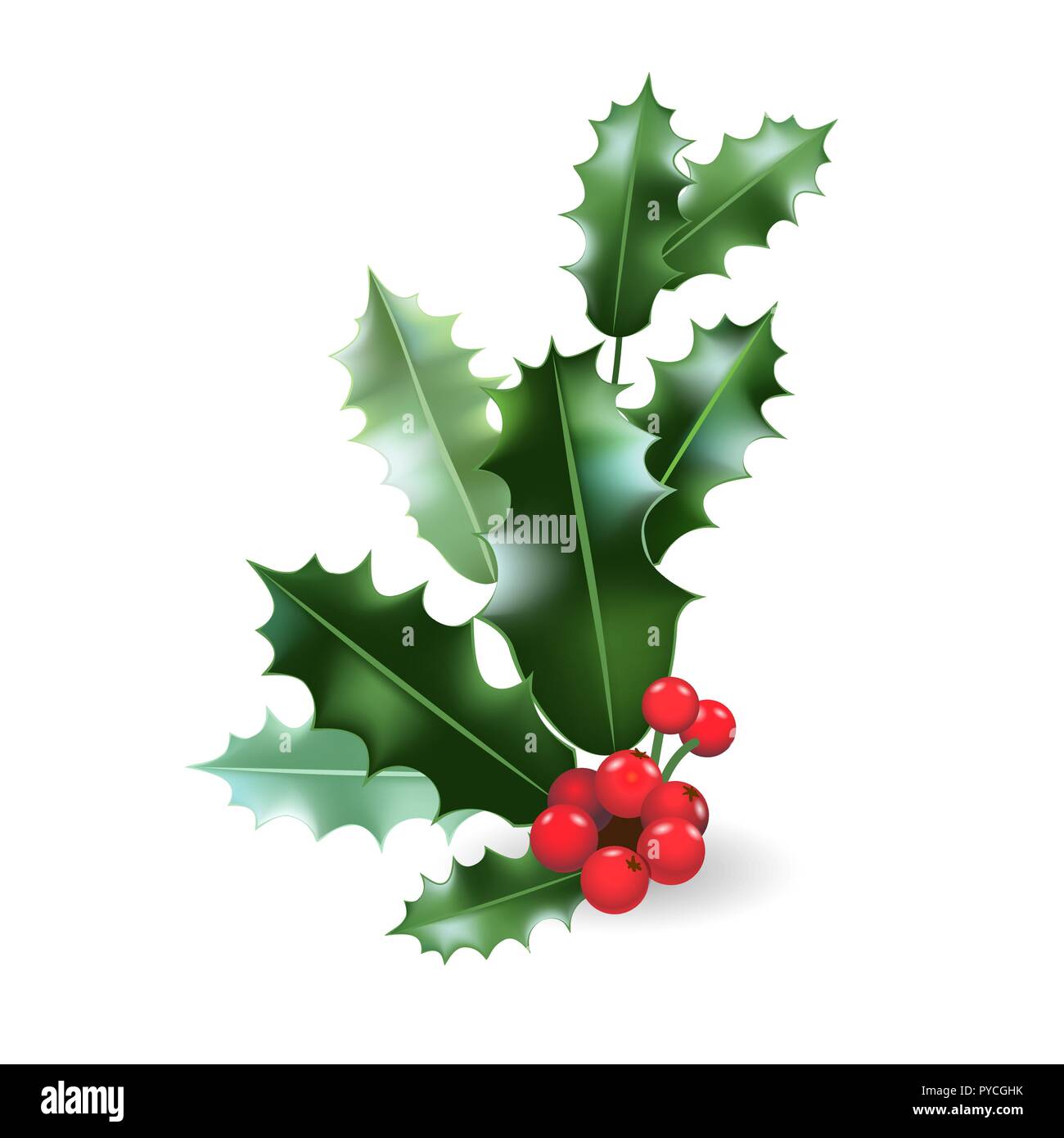 Holly branch Cut Out Stock Images & Pictures - Alamy