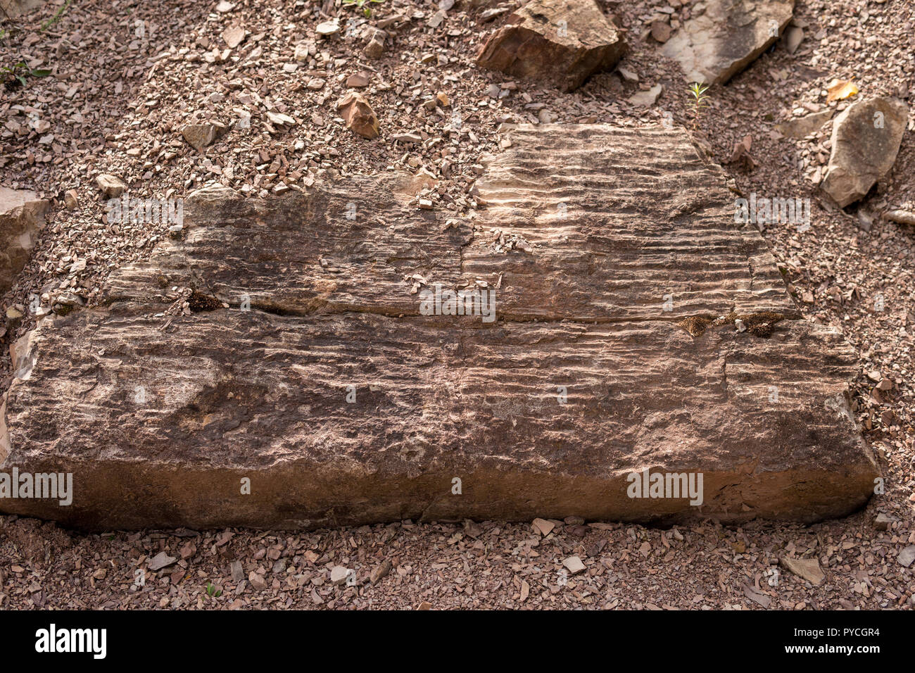 detail of erosion of sandstone rocks in old quarry in holly cross ...