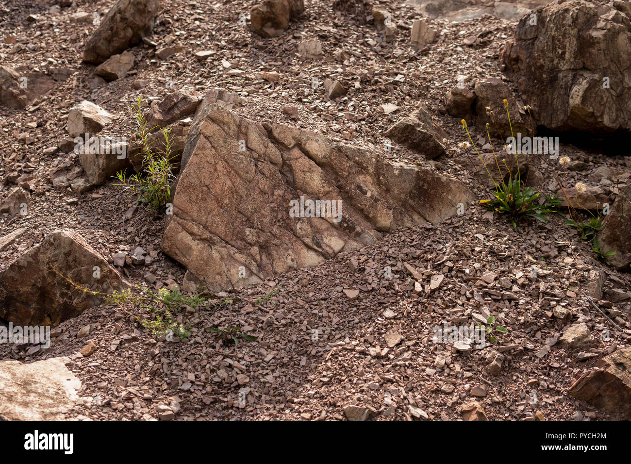 detail of erosion of sandstone rocks in old quarry in holly cross ...