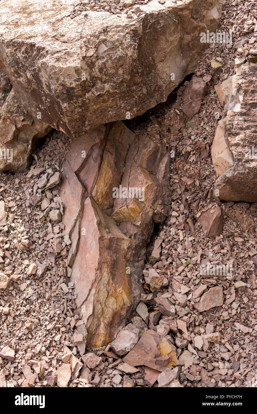 detail of erosion of sandstone rocks in old quarry in holly cross ...