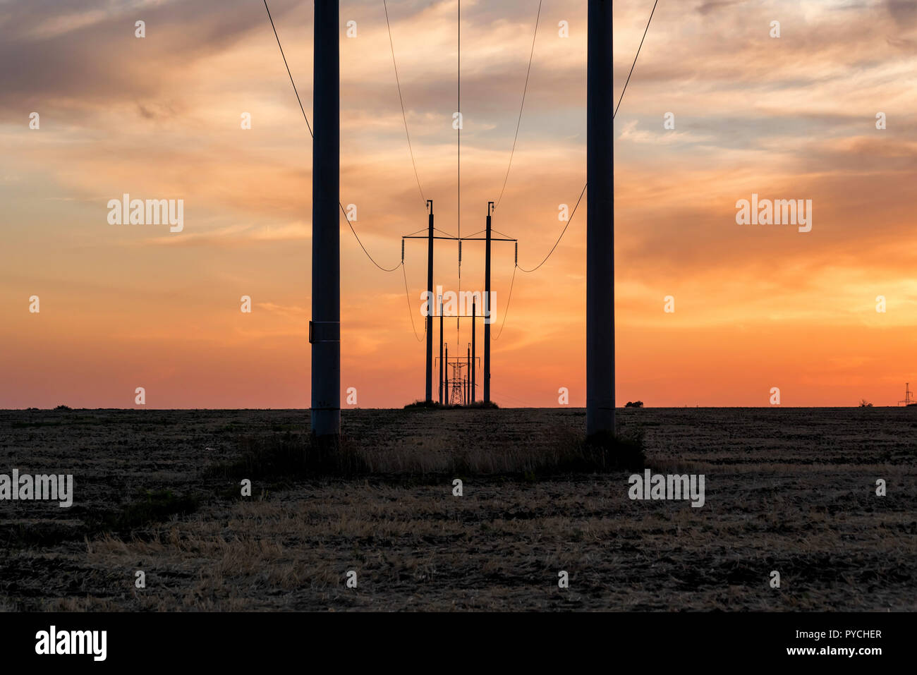 Rural landscape with power poles at sunrise Stock Photo - Alamy