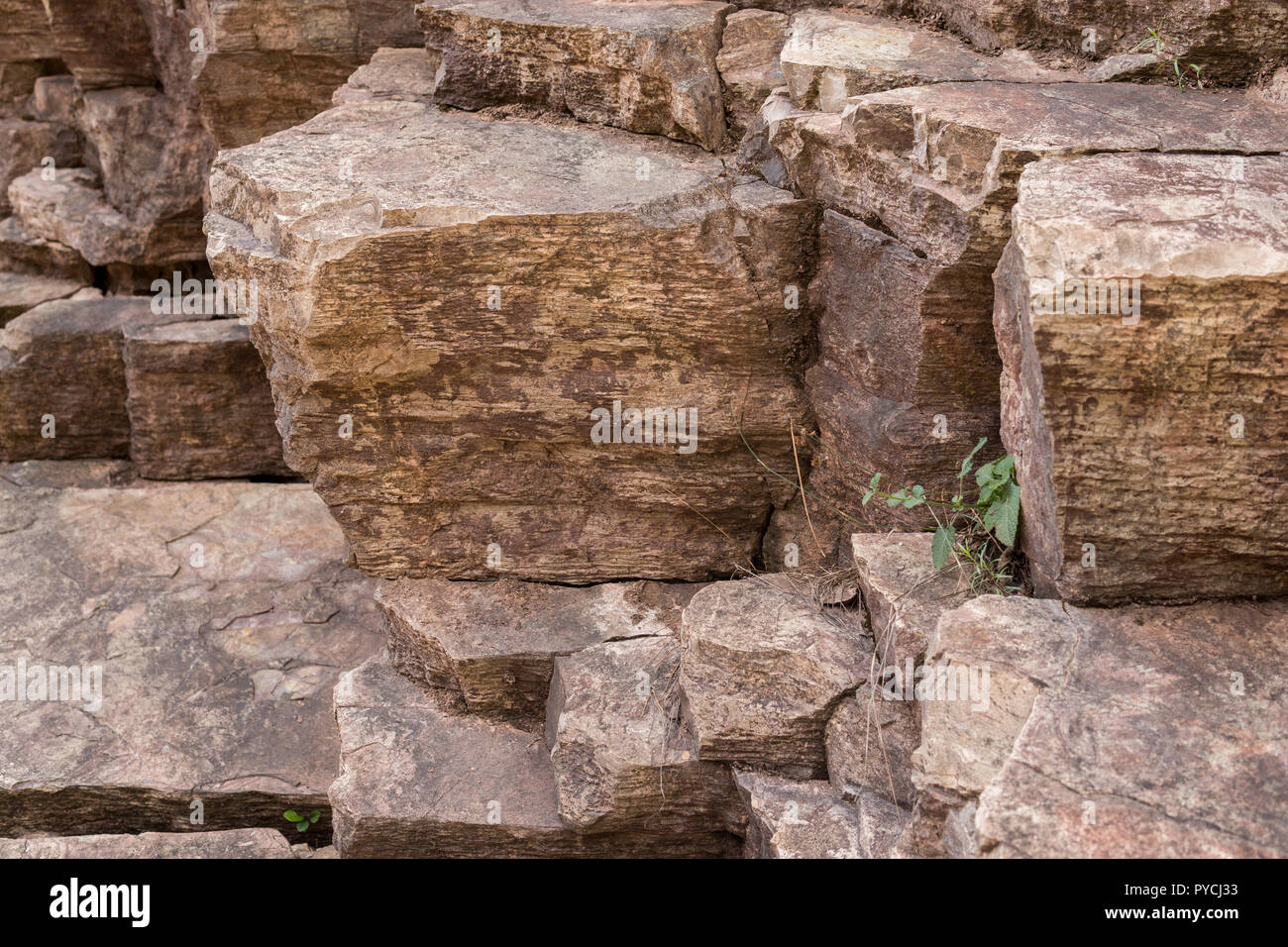detail of geological structures inside of zachelmie quarry in holly ...