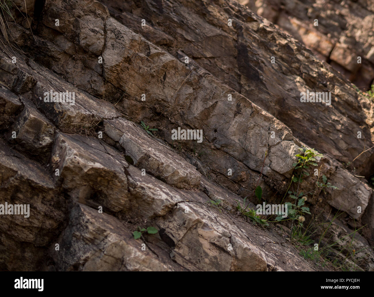 detail of layers of sediments inside of zachelmie quarry in holly cross ...