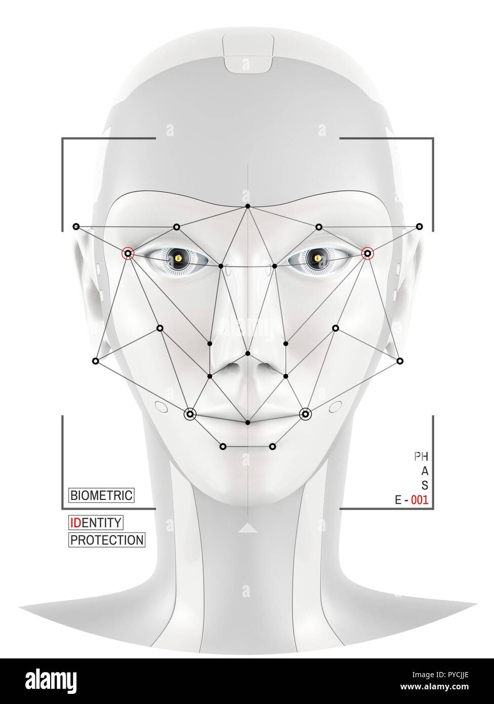 Biometric verification, illustration Stock Photo - Alamy