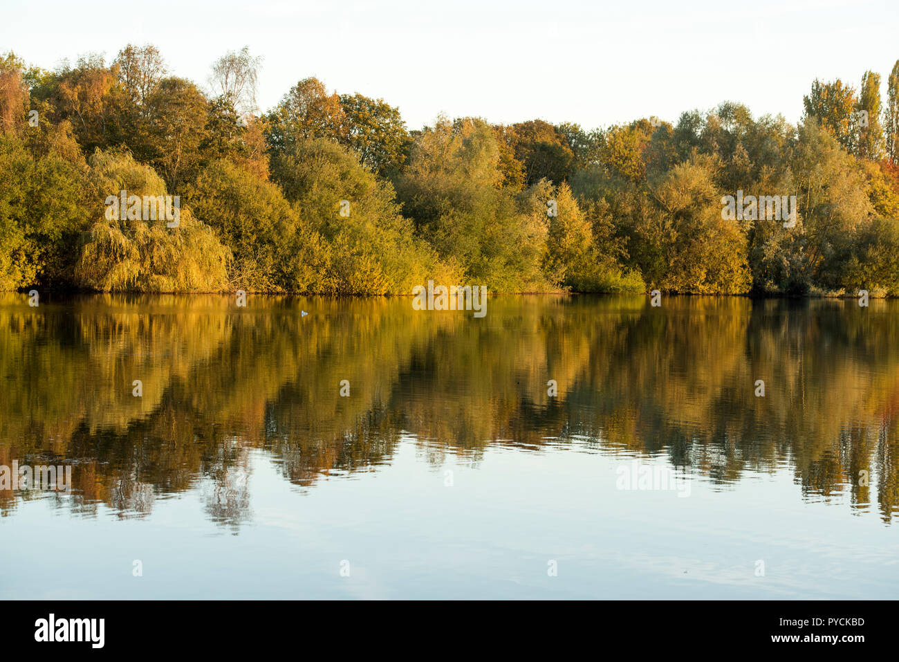 Autumn morning reflections at Colwick Country Park in Nottingham ...