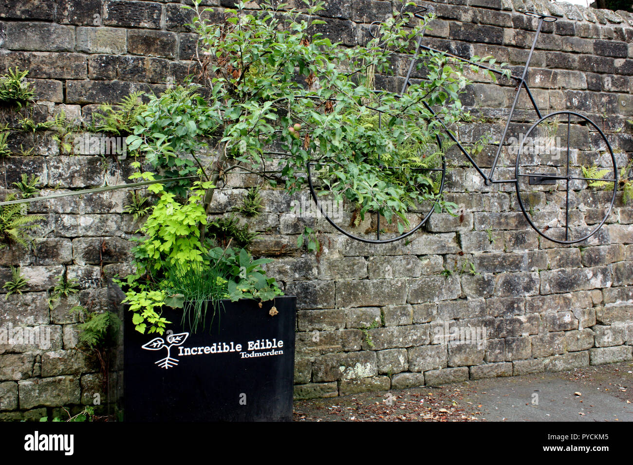 Examples of food beds as part of the Incredible Edible scheme in ...