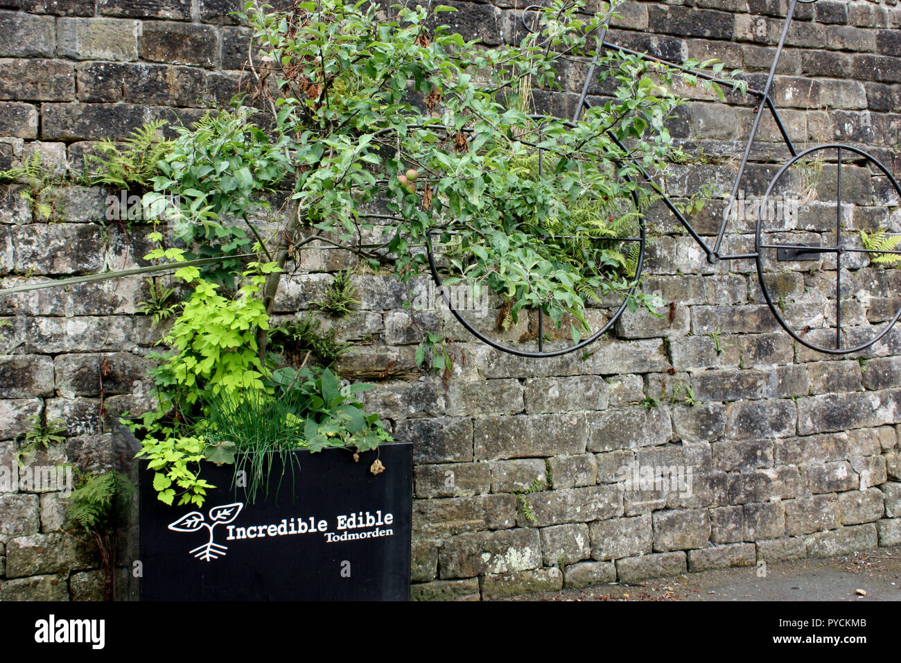 Examples of food beds as part of the Incredible Edible scheme in ...